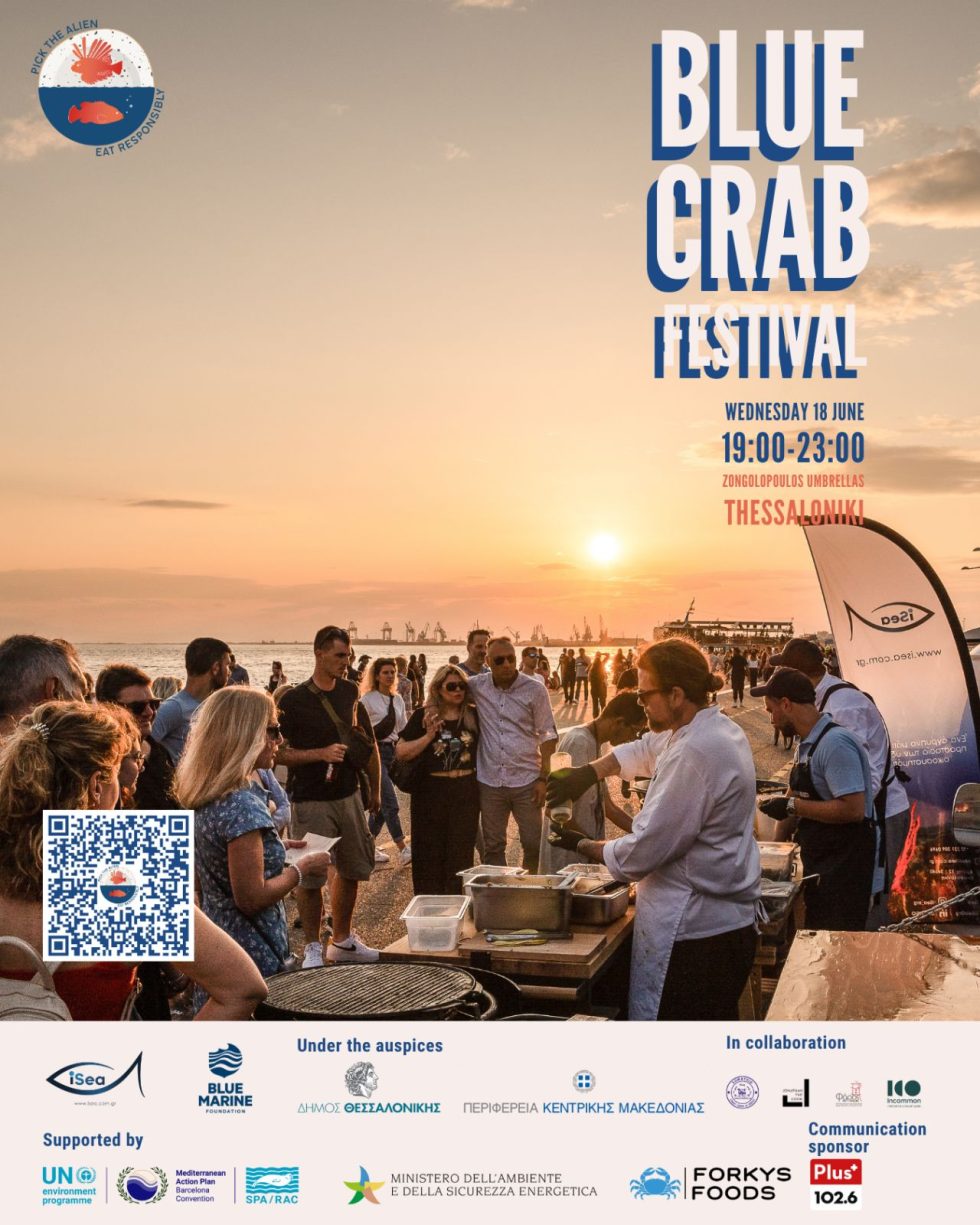 The Blue Crab Festival | ODYSSEY Reloaded